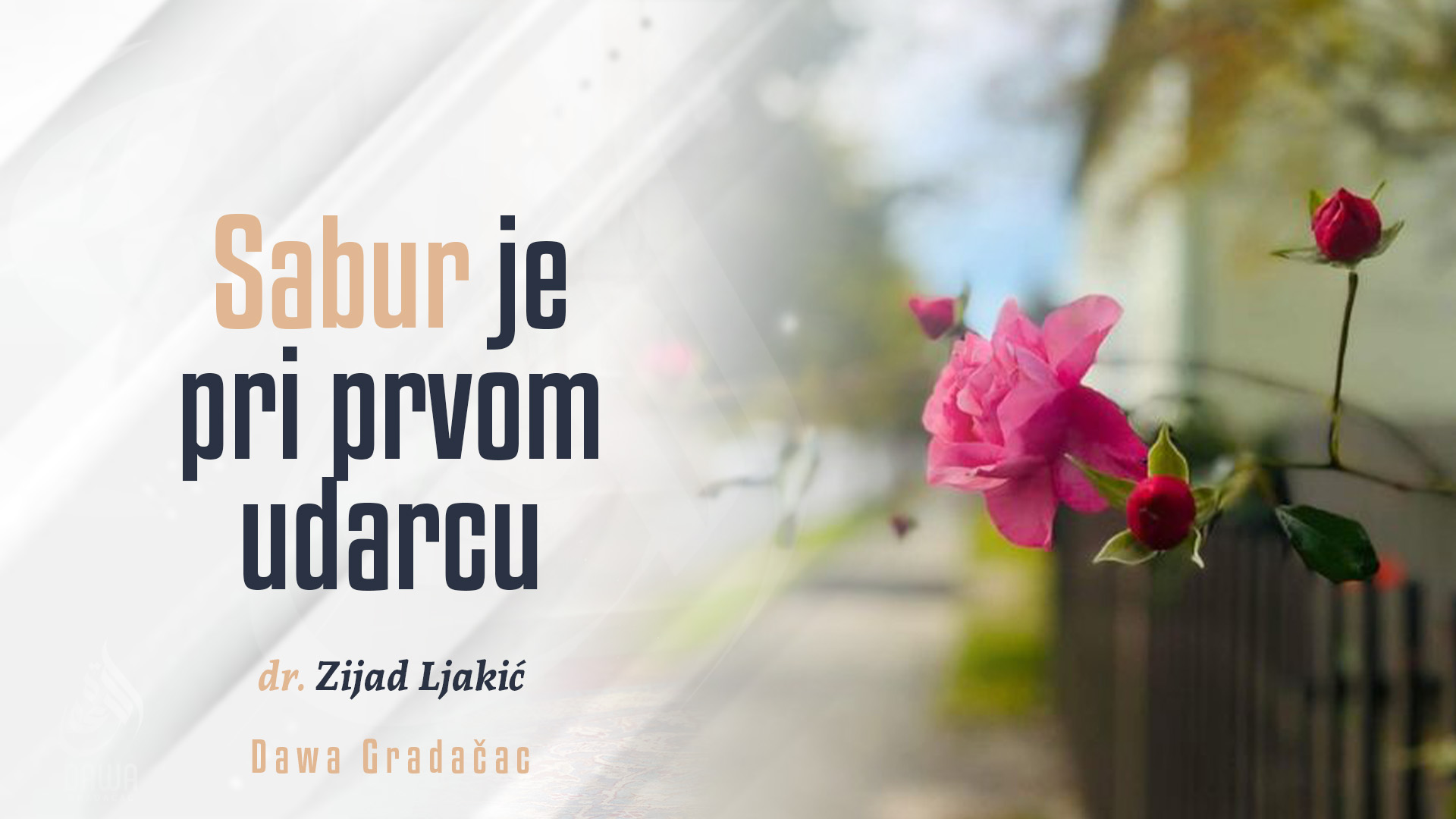 SABUR JE PRI PRVOM UDARCU - dr. Zijad Ljakić
