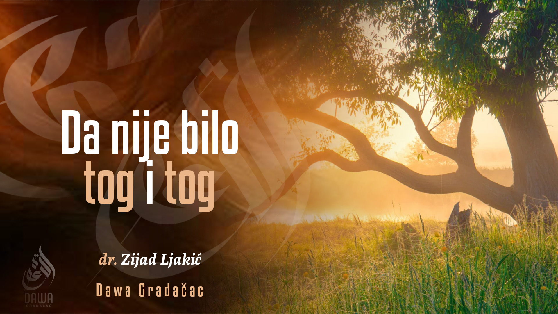 DA NIJE BILO TOG I TOG - dr. Zijad Ljakić